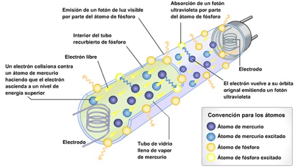 Lámpara TLED, el futuro sustituto de los tubos fluorescentes