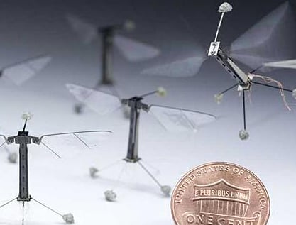 Biomímesis, tecnología inspirada en la naturaleza