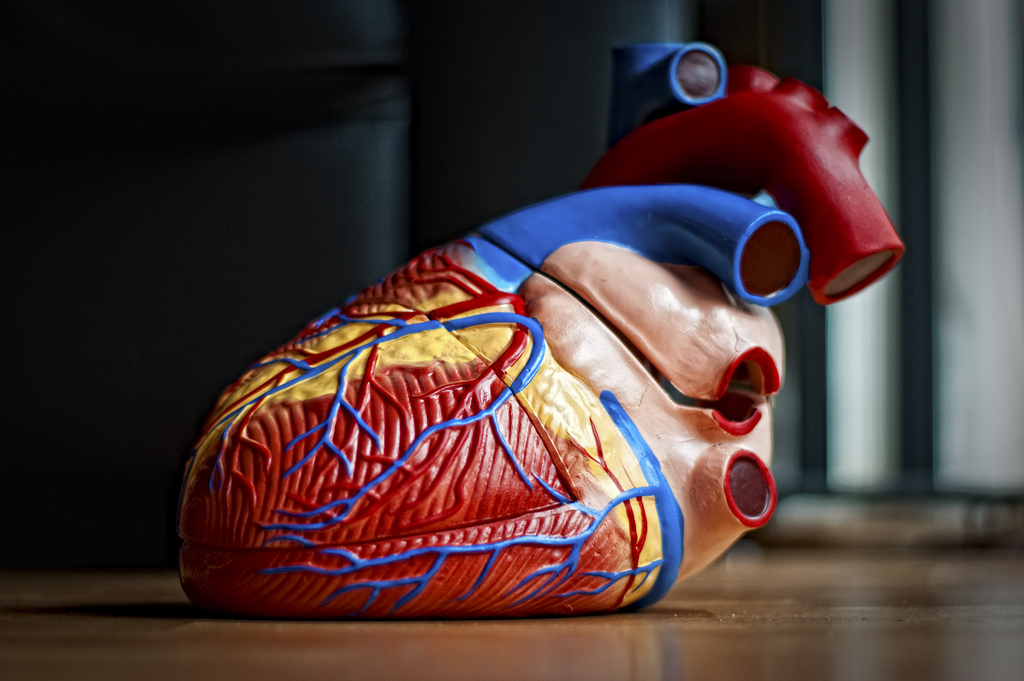 Válvulas del corazón 'artificiales' salvan la vida a 10 niños