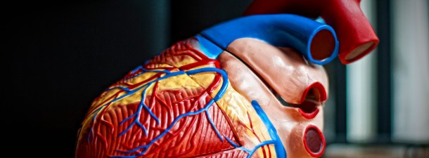 Válvulas del corazón 'artificiales' salvan la vida a 10 niños