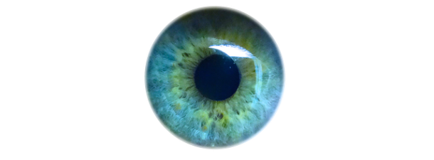 Nuevo método de reconocimiento de iris a distancia