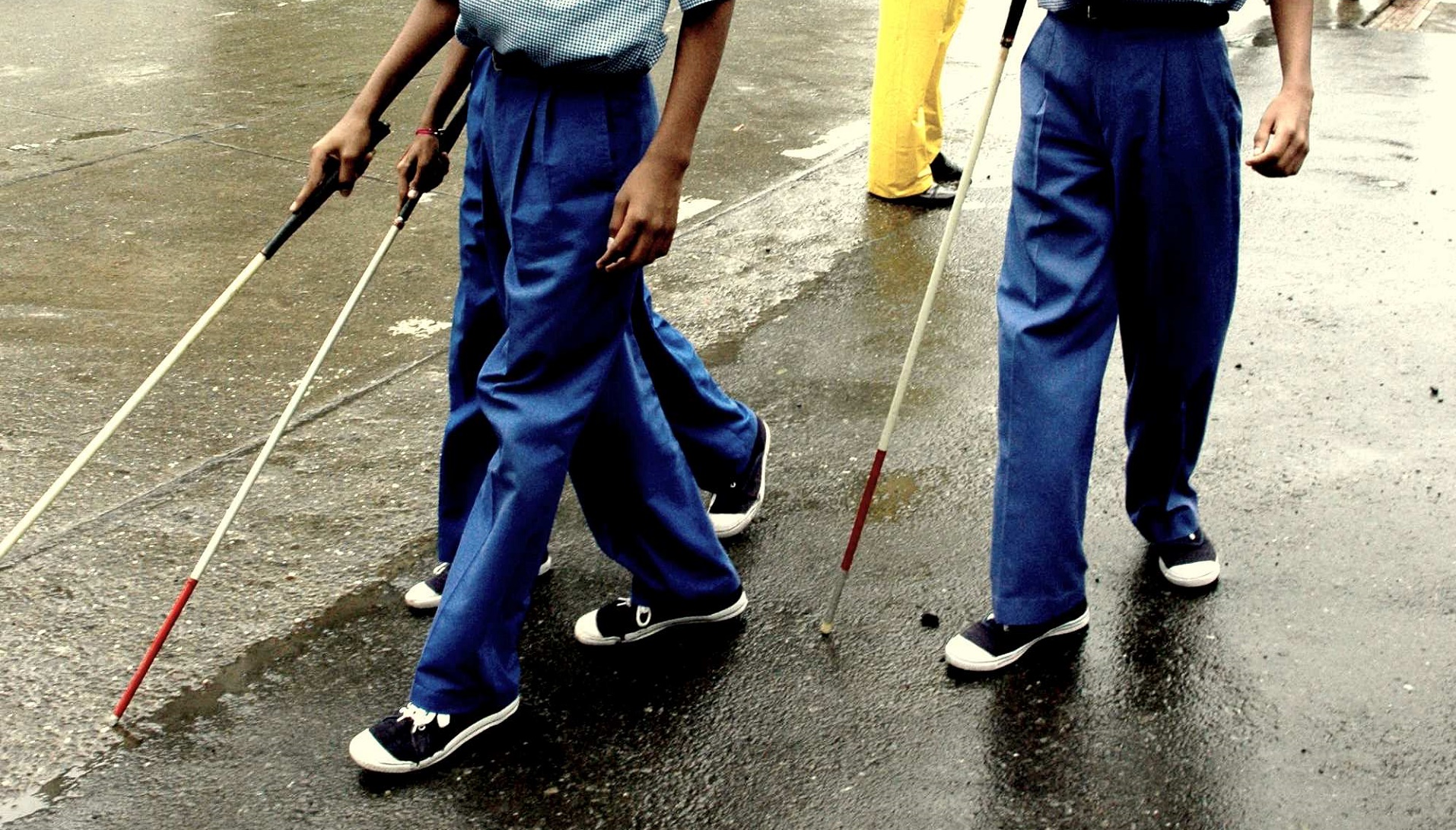 Aipoly, una app de apoyo para invidentes