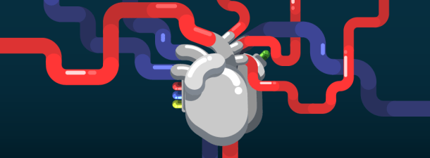 Un corazón artificial, el mejor imitador del órgano humano