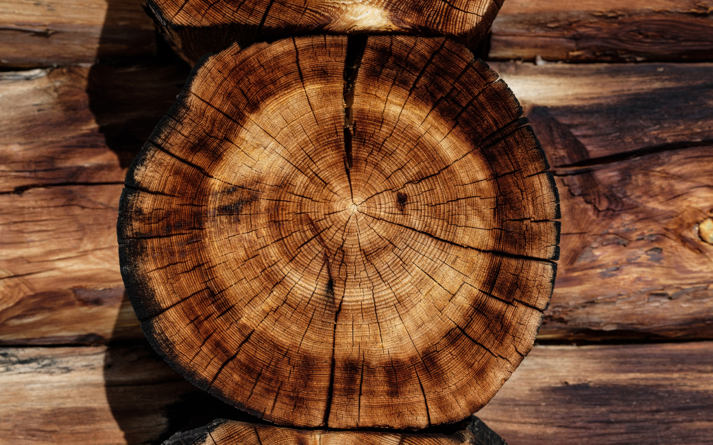 Madera transparente, un salto hacia la construcción sostenible